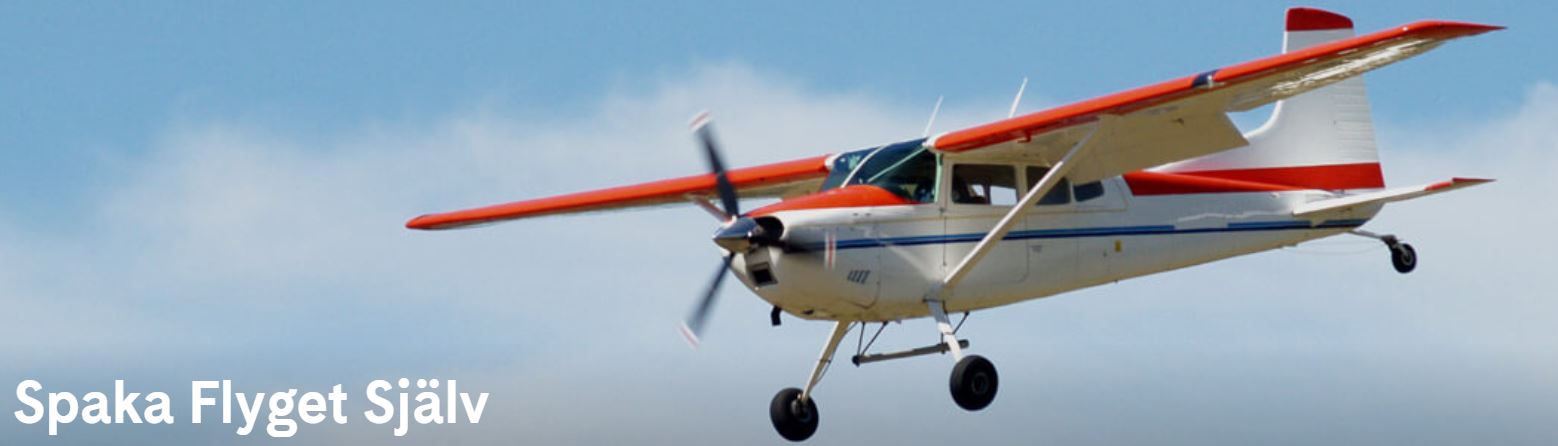 Flyga flygplan med pilot - Malmö